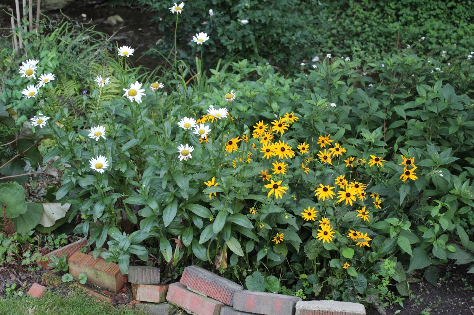 The Charmed Life: Summer Flowers