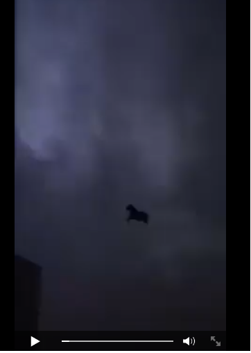 Black Horse Flying in the Skies of Jeddah, Saudi Arabia