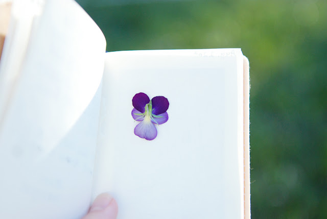 Paper Raindrops: Flower printing: a DIY