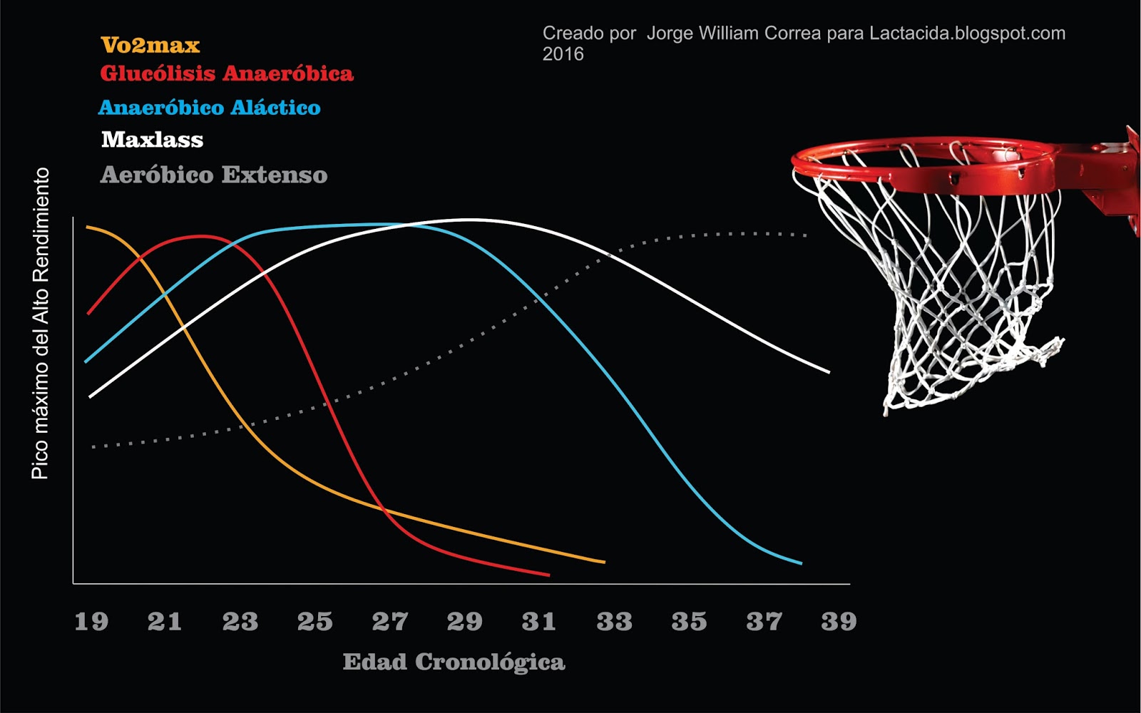 FISIOLOGÍA DEPORTIVA PARA PRINCIPIANTES: QUE ES EL ALTO RENDIMIENTO?