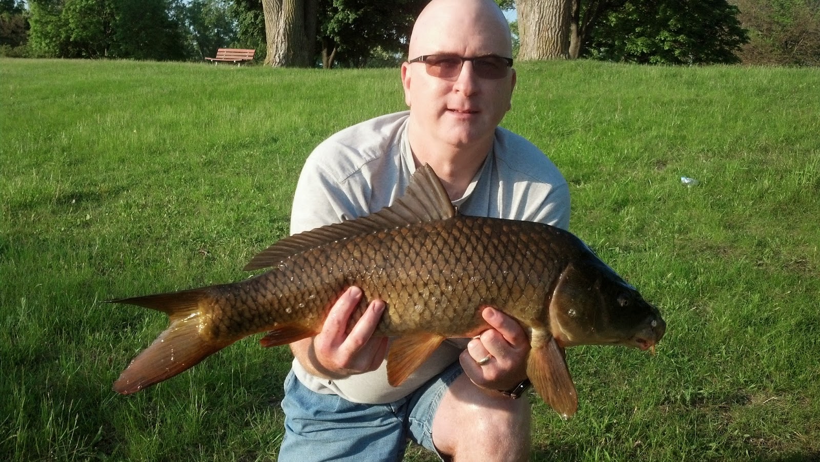 Michigan Carp Fishing Blog: Morning Carp Session
