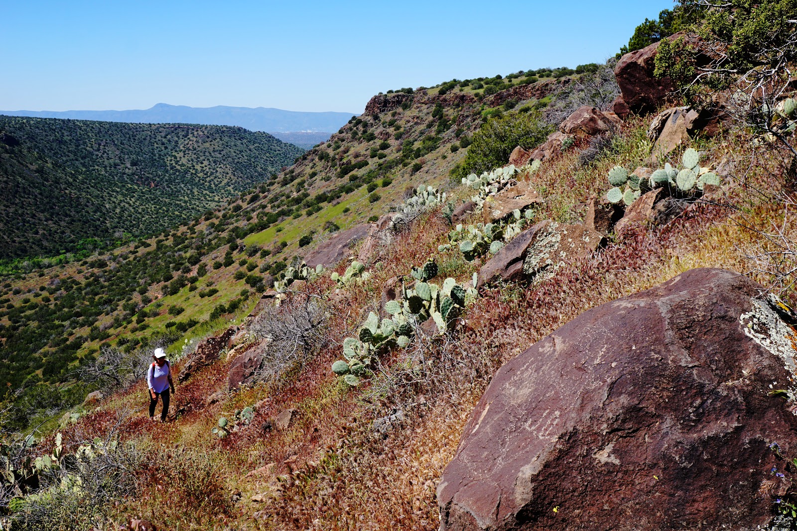 Lazarow World-Hike-About: 45.25 Rimrock, Arizona: White Mesa mountain ...