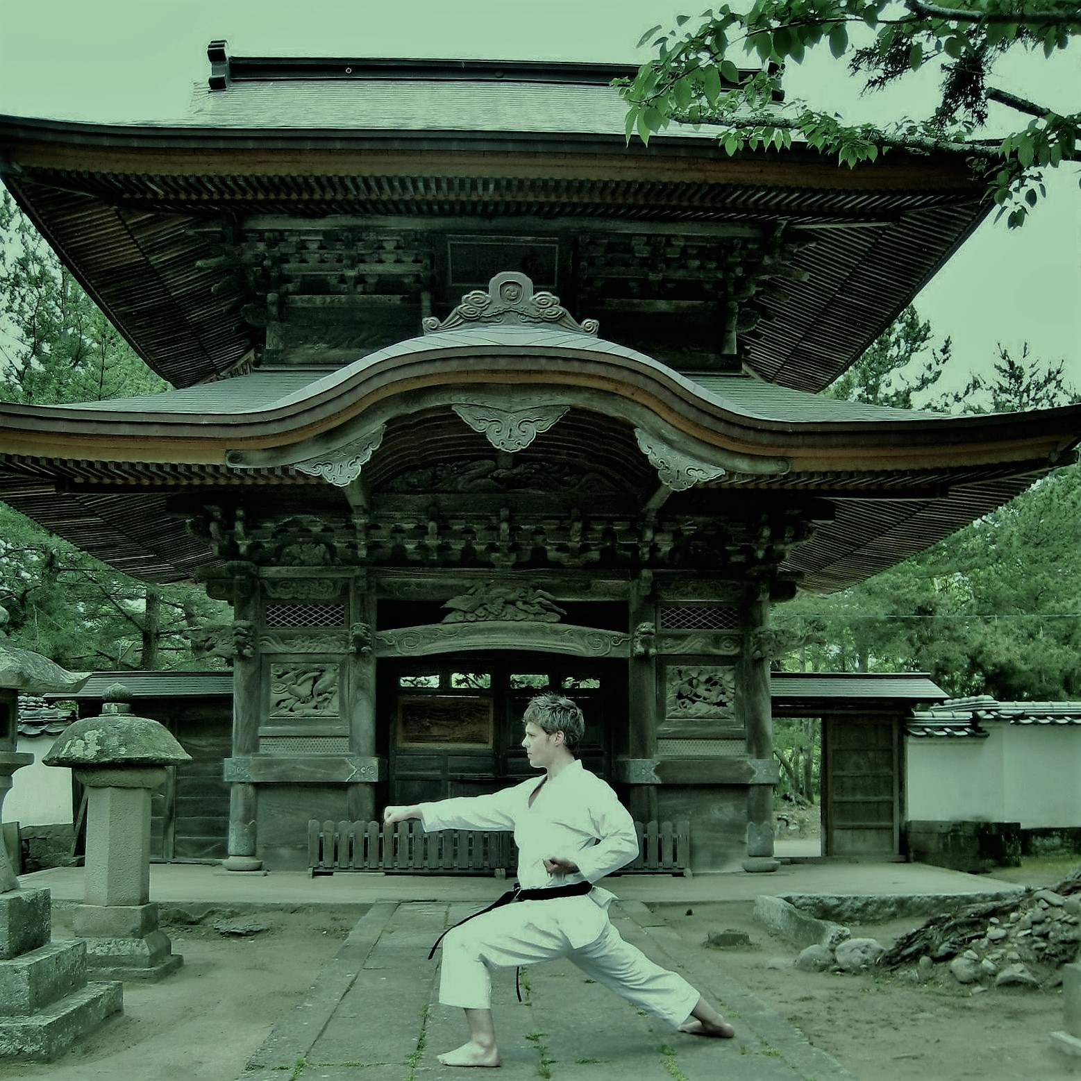 André Bertel's Karate-Do: Hiki-te: ‘two hands are better than one’