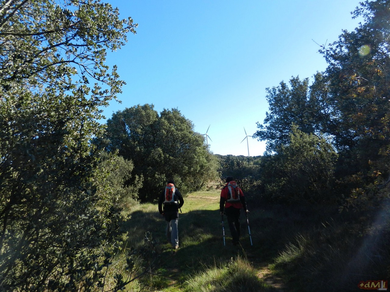 0086 - Vértices Geodésicos C.V.: Mazorral (1113 m) / A+ 613 m / 23,36 ...