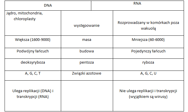 Inzynieria środowiska: Biochemia - ściąga