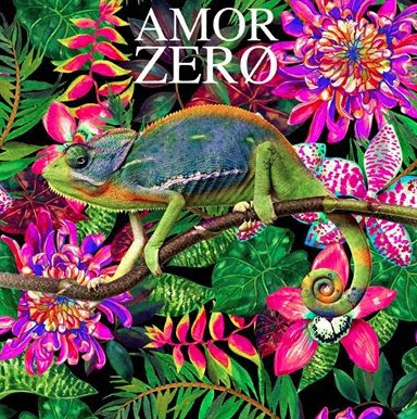 El camino del entusiasta