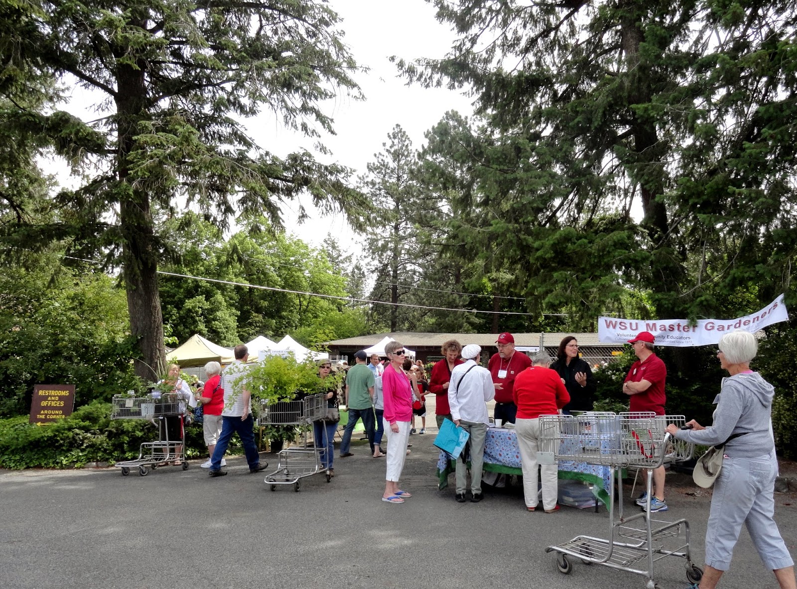 danger garden: The Friends of Manito Park Plant Sale, 2014