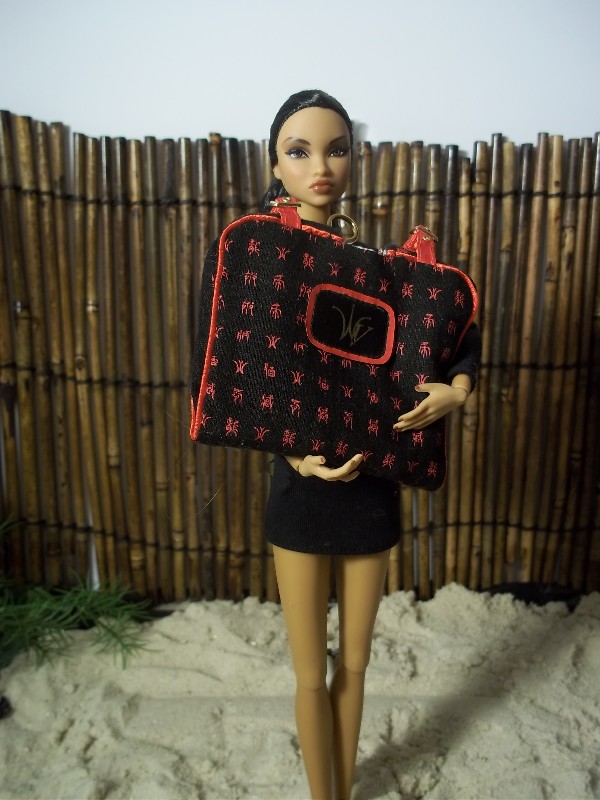 Fashion Dolls at Van's Doll Treasures: Of Course I bought New Dolls!