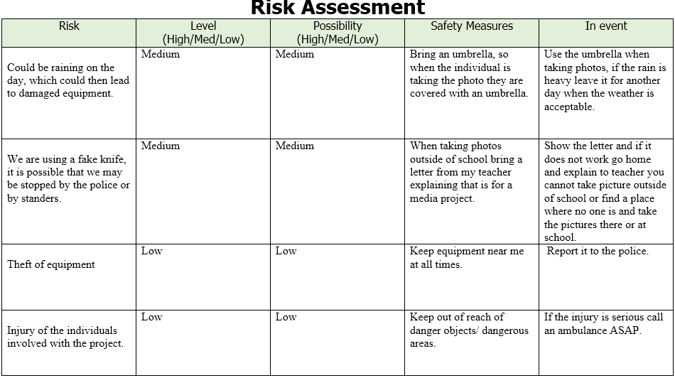Kitchen Fitting Risk Assessment at Bobby Gibson blog
