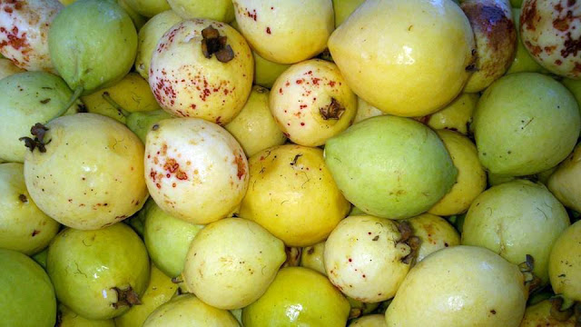 Jaime Ramos Méndez: 2013