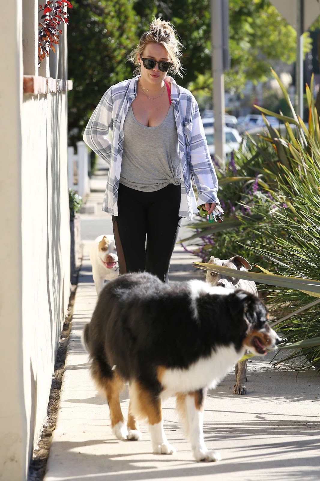 Hilary Duff With Her Dogs Out For a Walk in West Hollywood, October 20 ...