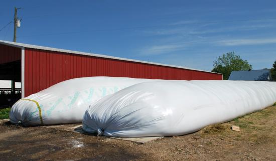 Kiss My Tractor: Alfalfa Can Be Exciting