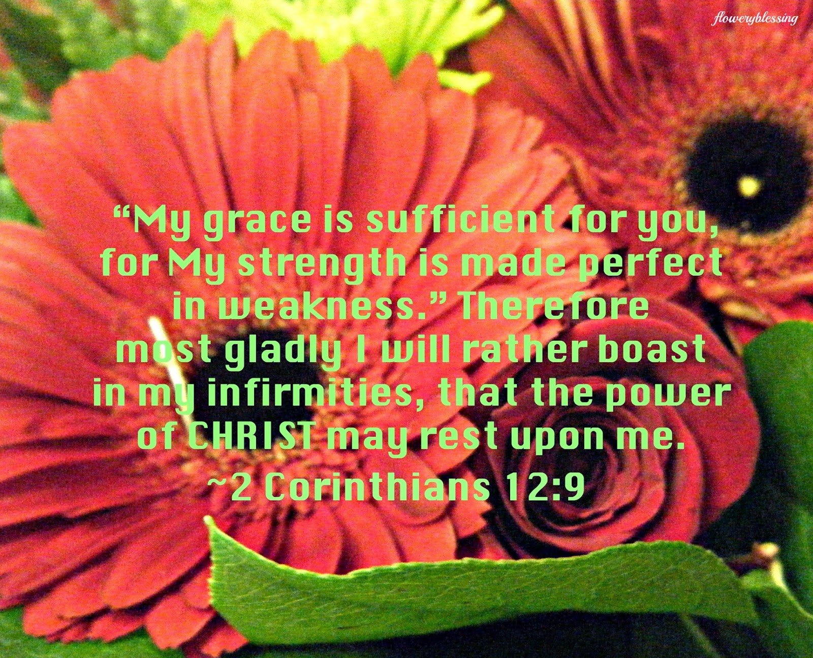 Flowery Blessing: And He said to me, “My grace is sufficient for you ...