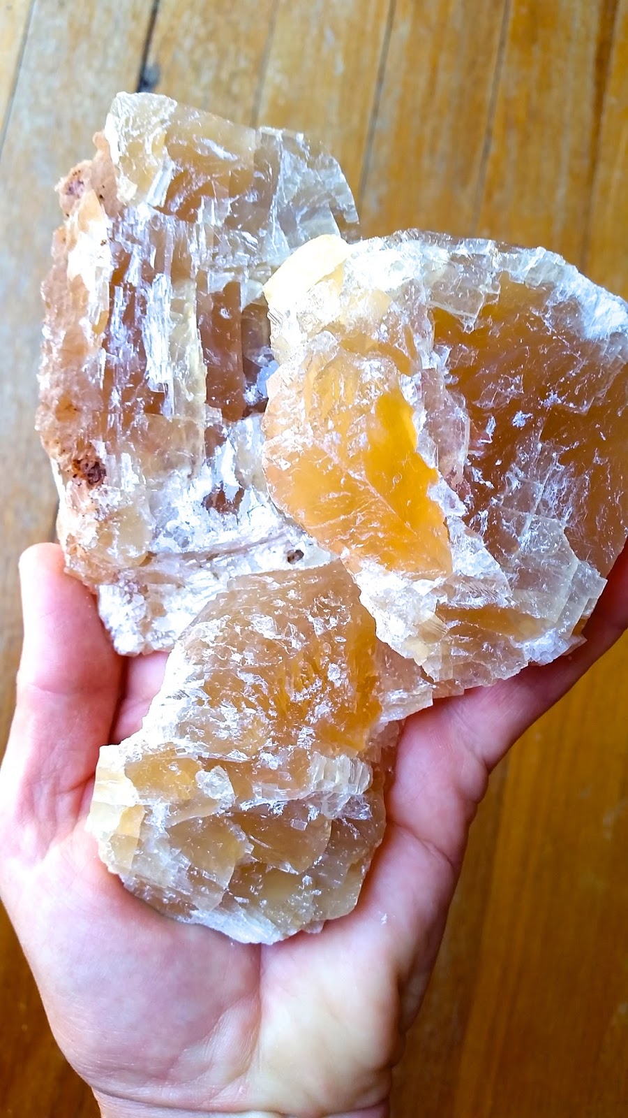 Zookeeper Fossils: More Arizona Geode Tour 2016!