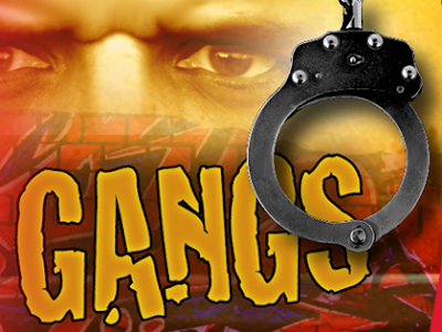 PORT ELIZABETH - PE'S WAR ON GANGSTERISM SEES 30 GANGSTERS CONVICTED ...