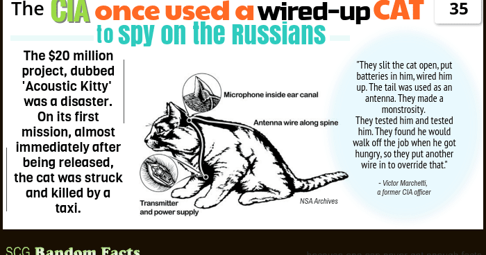 SCG RANDOM FACTS: RANDOM FACT #35 - The CIA Once Used a Bugged Cat to ...