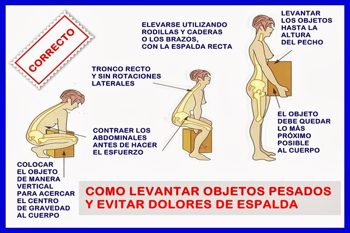 Educación Física en la Red: Cómo levantar objetos pesados y evitar ...