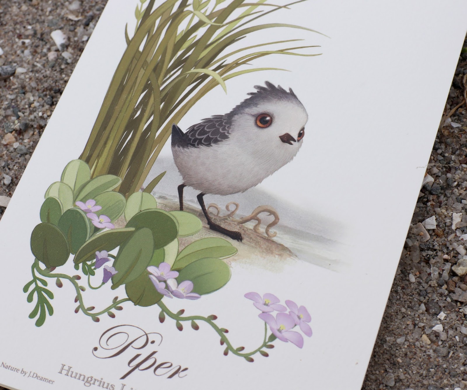 Dan the Pixar Fan: Piper: Pixar Studio Store Exclusive Greeting Card ...