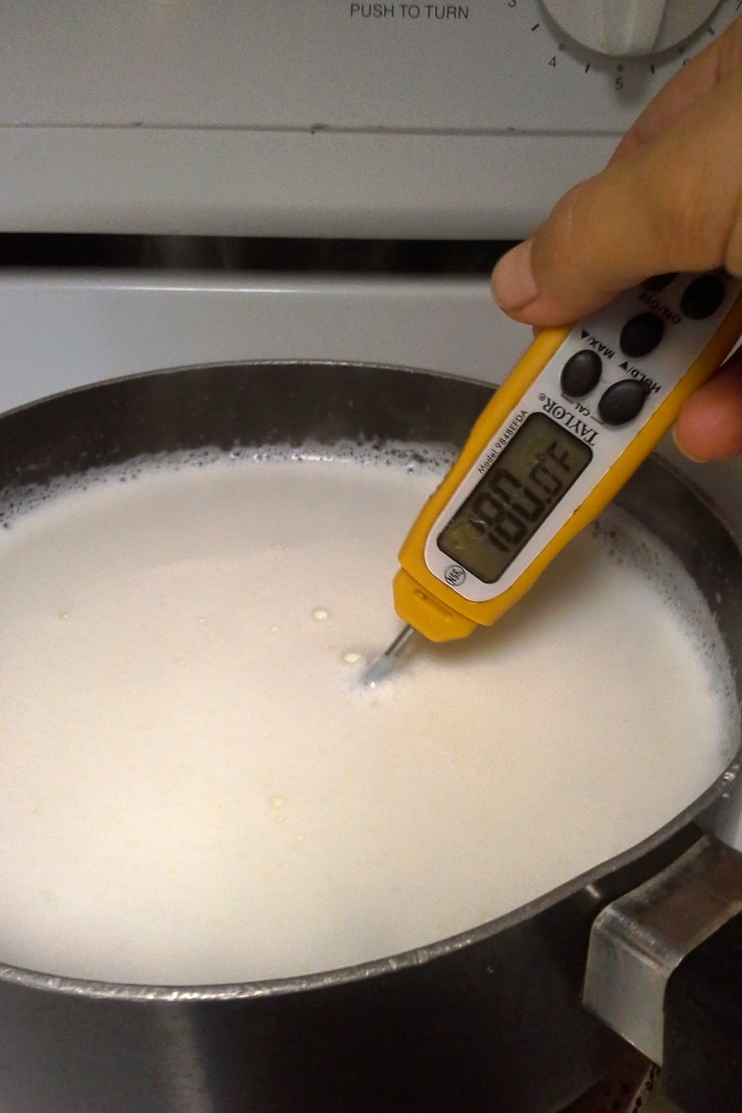 Happy Modern Hippy: Homemade Yogurt