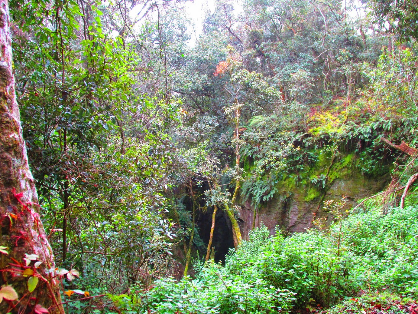 The Devil's Kitchen or Guna Caves