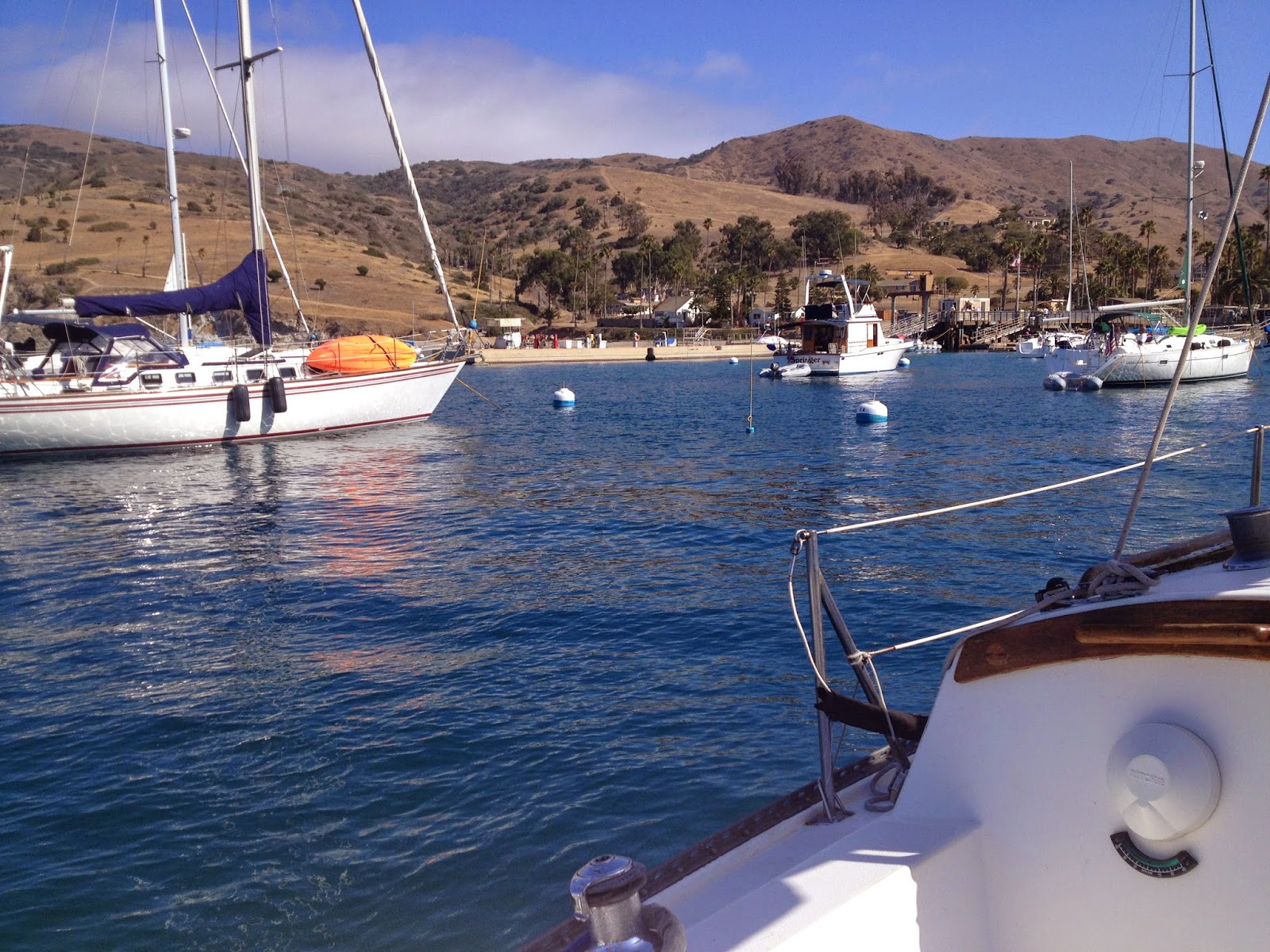 Captain Curran's sailing blog: Mooring on a ball or anchoring at Two ...