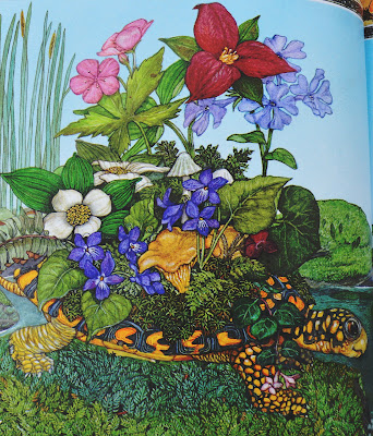 TEXTILE TROLLEY: A book review: Mossy by Jan Brett