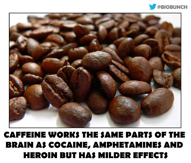 Friday Facts: Week #9 - Science in the City