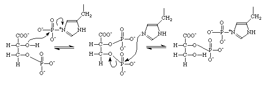 World of Biochemistry (blog about biochemistry): Glycolysis (enzymes of ...