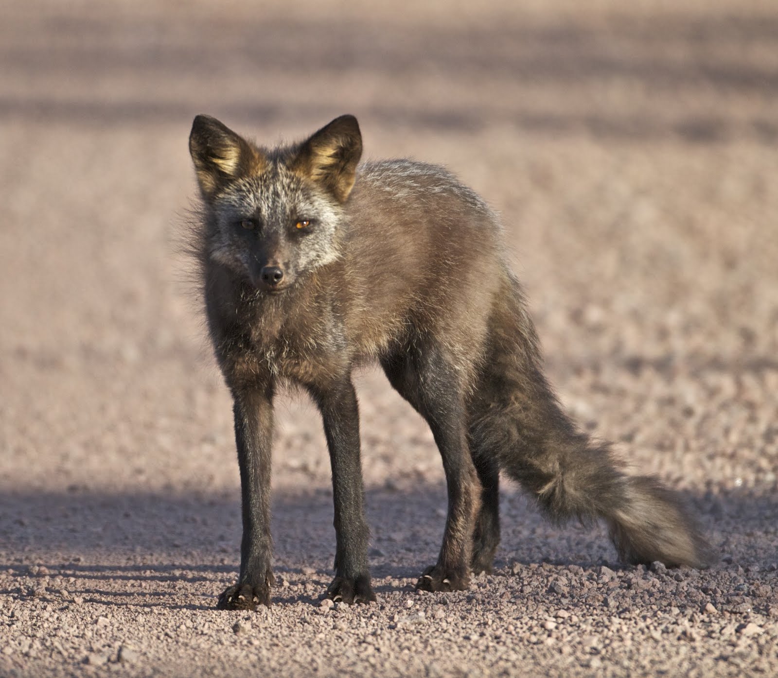 EASTERN CANADA JOURNEY OF DISCOVERY