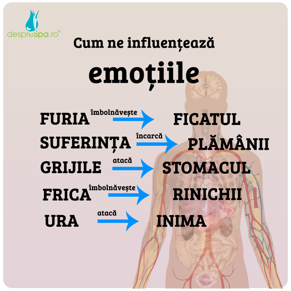 uʍop ǝpısdn : 2017-01-08