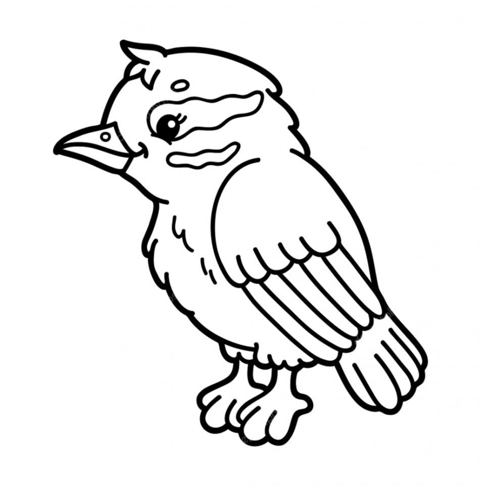 Xenops Coloring Page | Wallpapers Desktop