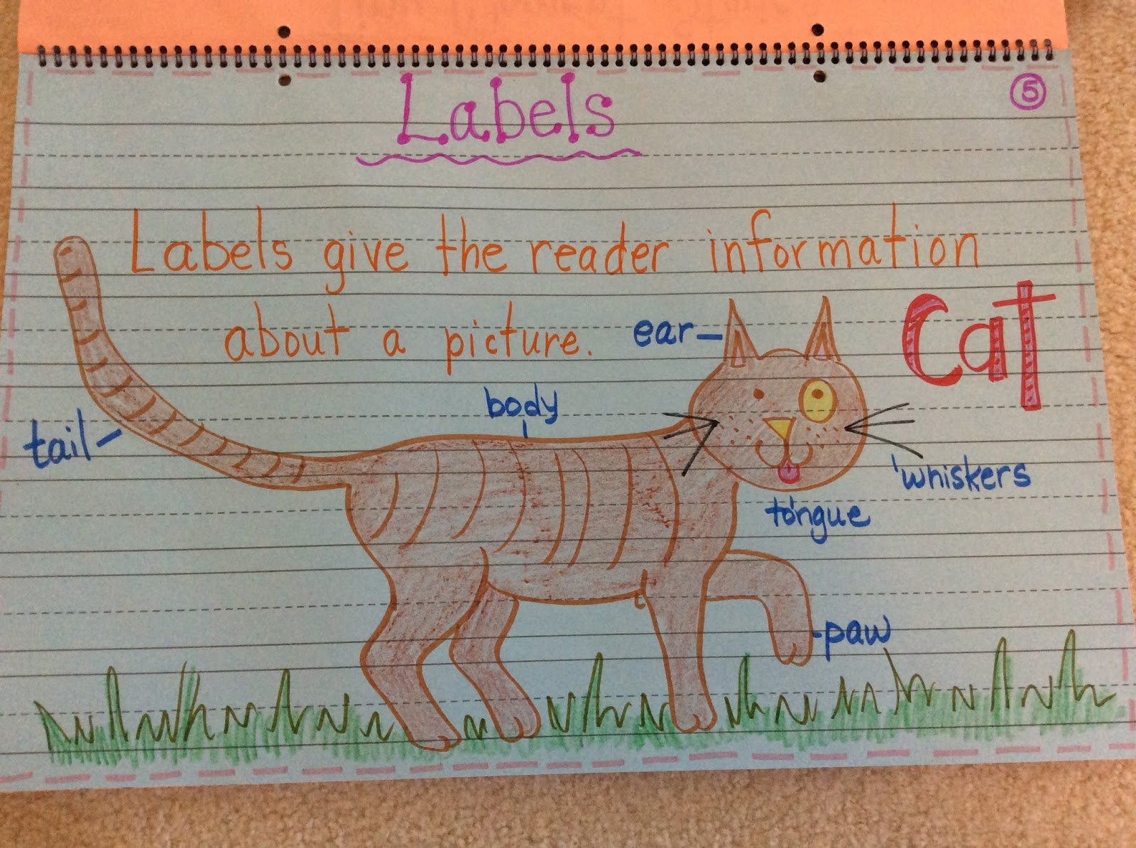 Create Your Balance With Literacy