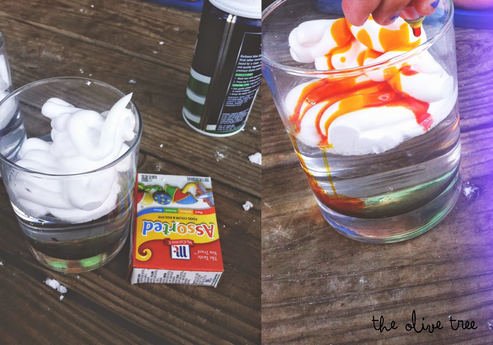 learning. | the olive tree