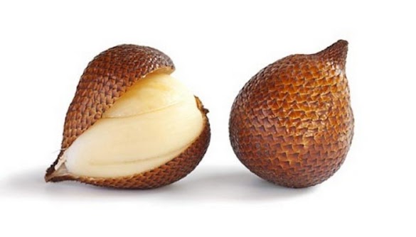 Kandungan Buah Salak dan Khasiatnya Bagi Kesehatan Tubuh