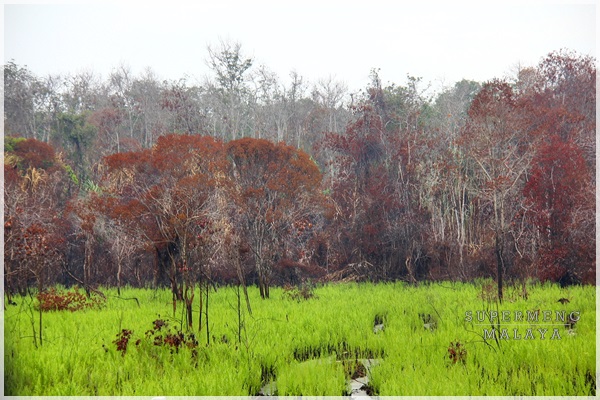 SUPERMENG MALAYA: Malaysia Di Musim Luruh