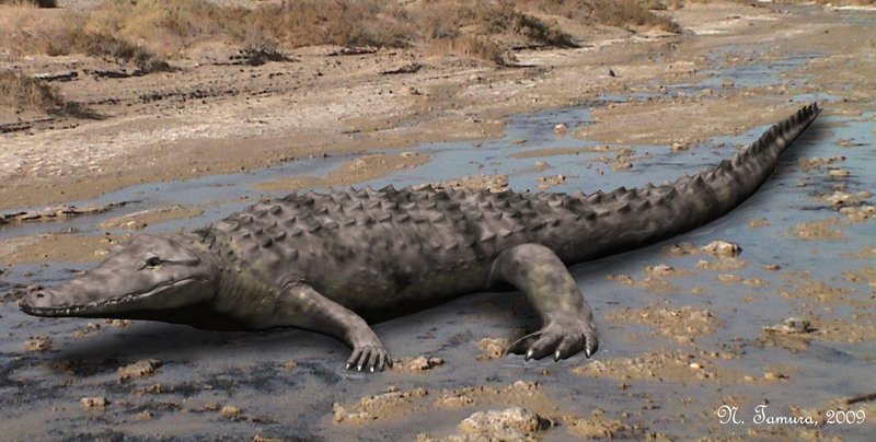 Los animales en la prehistoria: Animales prehistóricos con la letra D