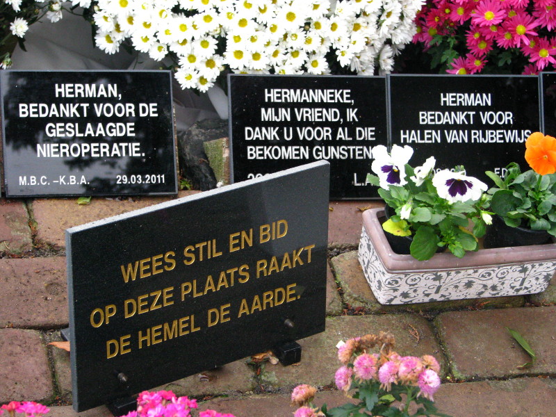 LB55'55-Emiel-on-the-blog: De Verering van Hermanneke Wijns