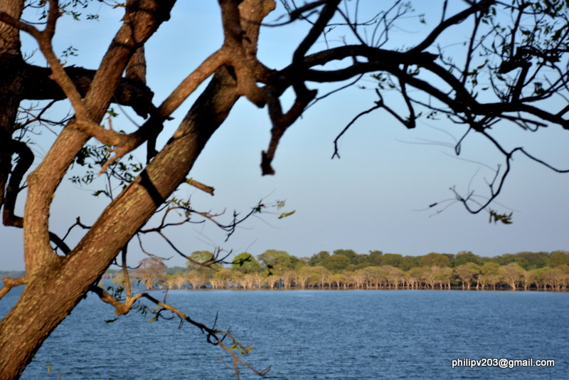 Images of Sri Lanka on blogspot.com: Kala Wewa, Sri Lanka.