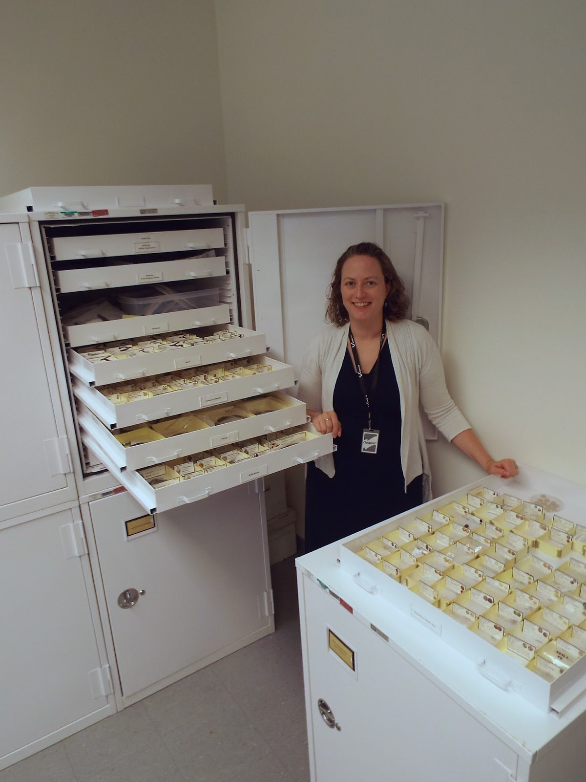 Collections in the News: Maryland's hidden treasure