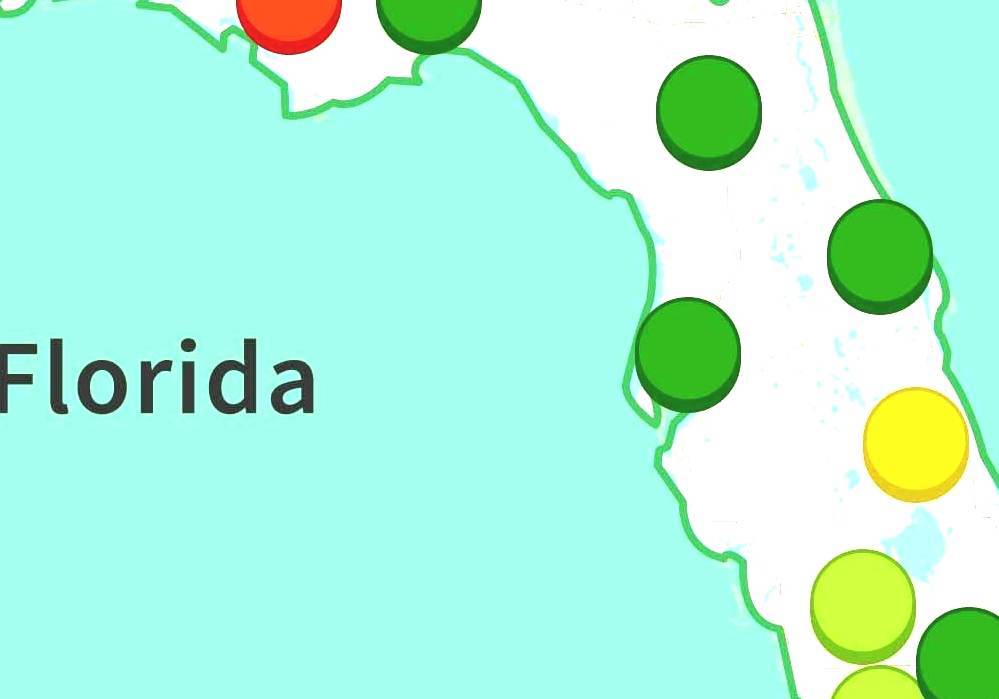 List Of Colleges And Universities In Florida - Florida Colleges Near Tampa