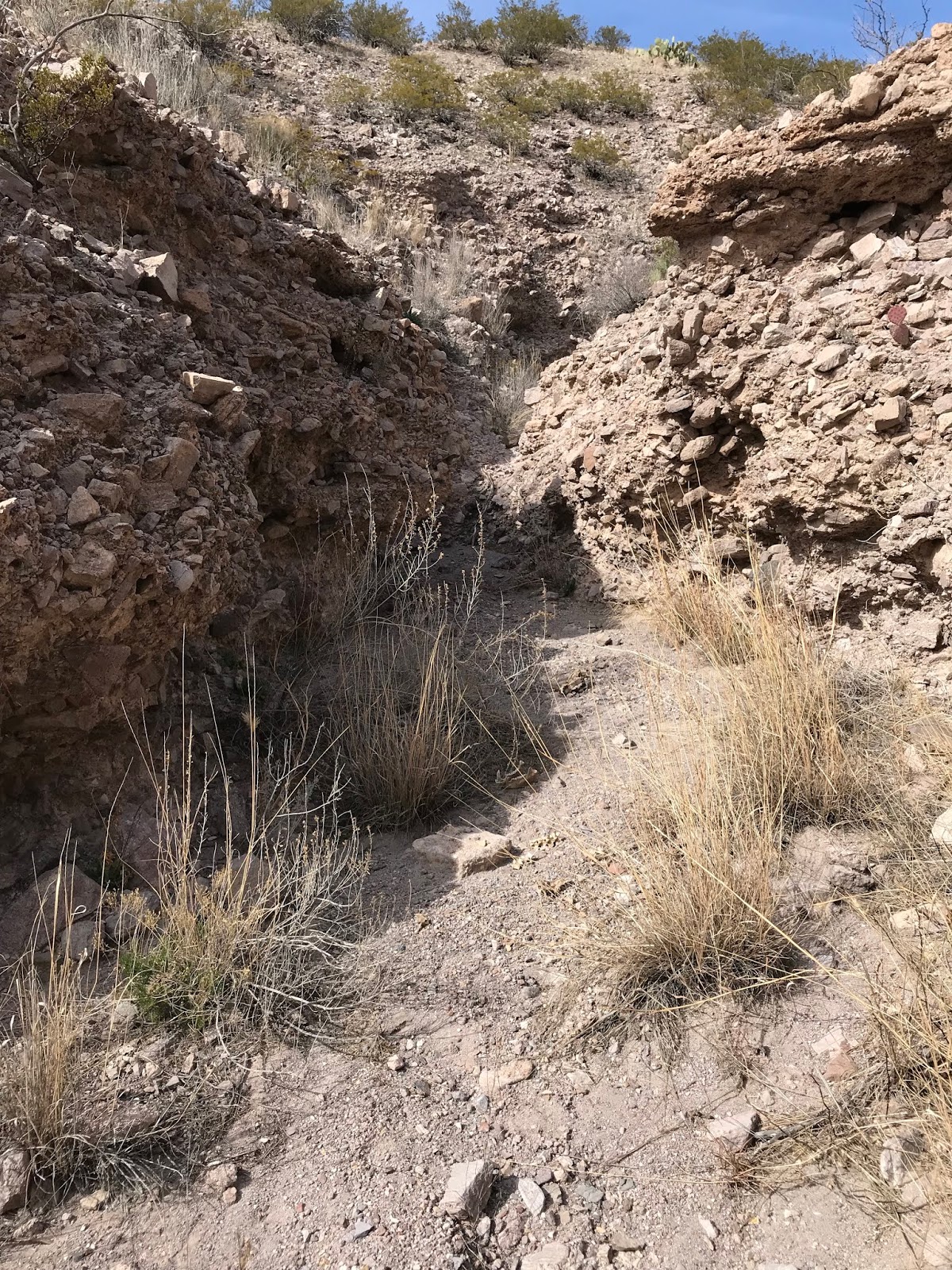 Southern New Mexico Explorer: Selden Hills- Four More Canyons and Corn Cave