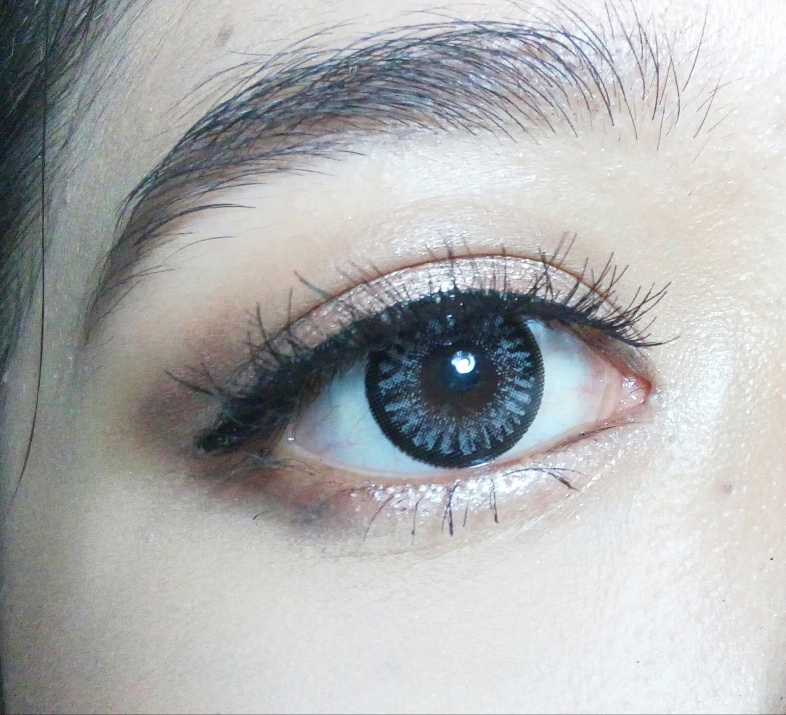 Softlens Review : Newlook Playful in Grey and Brown - Ell's Beauty Diary ☁