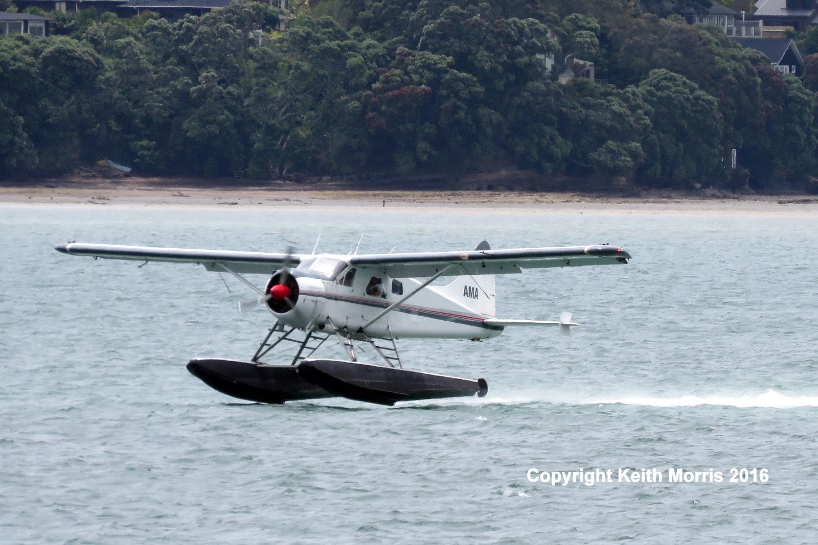 NZ Civil Aircraft: DHC 2 Beaver Floatplane on Auckland Harbour 27-12-2016