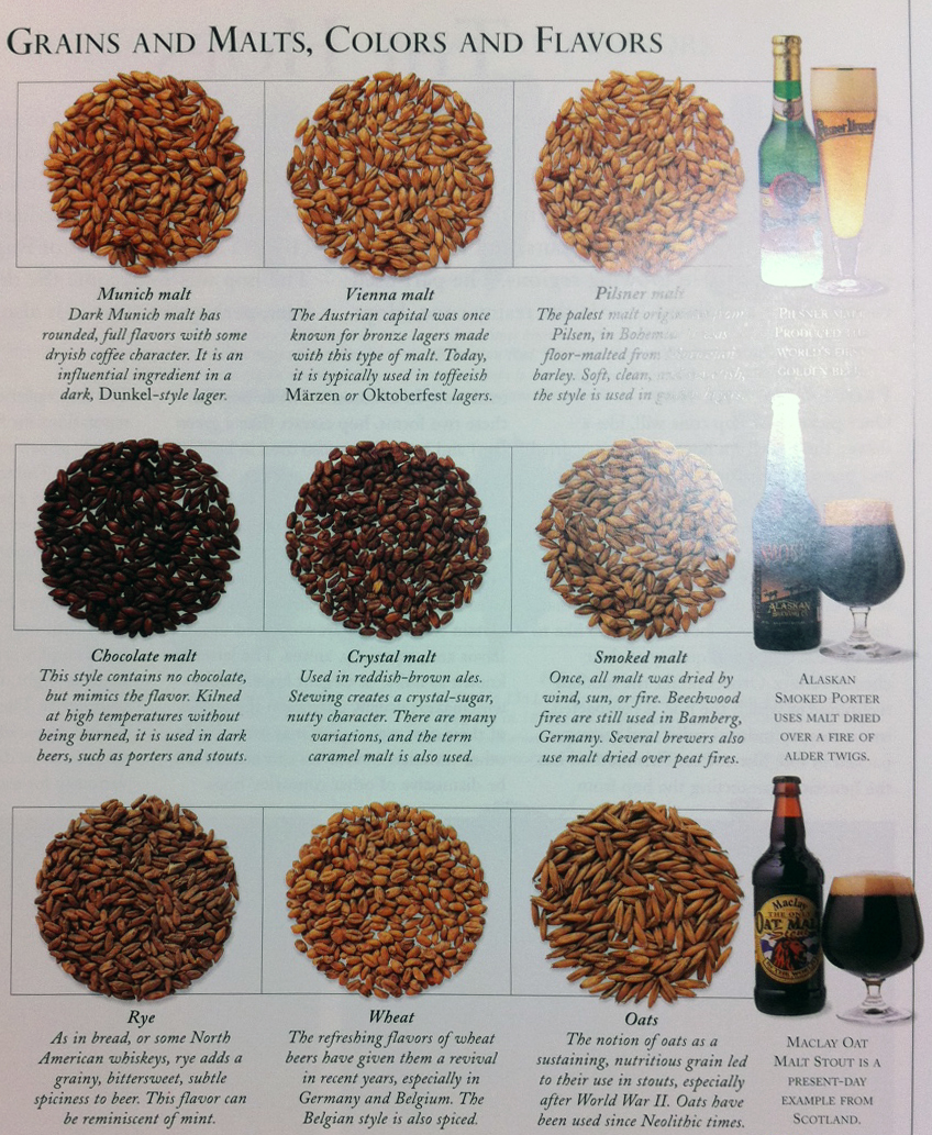 Beerland : Historia y Ciencia