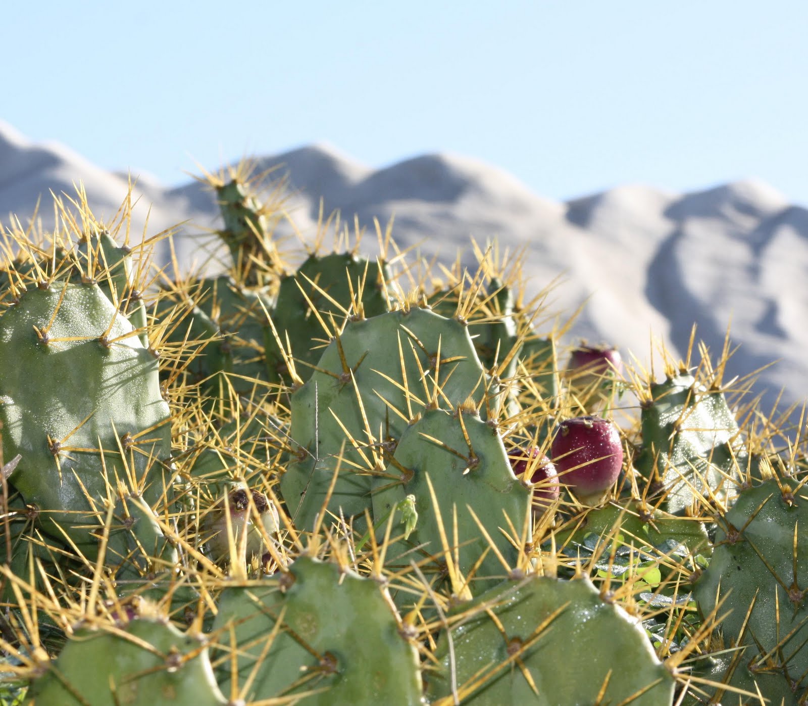 Ora marítima. Costa de Cádiz.: 2012