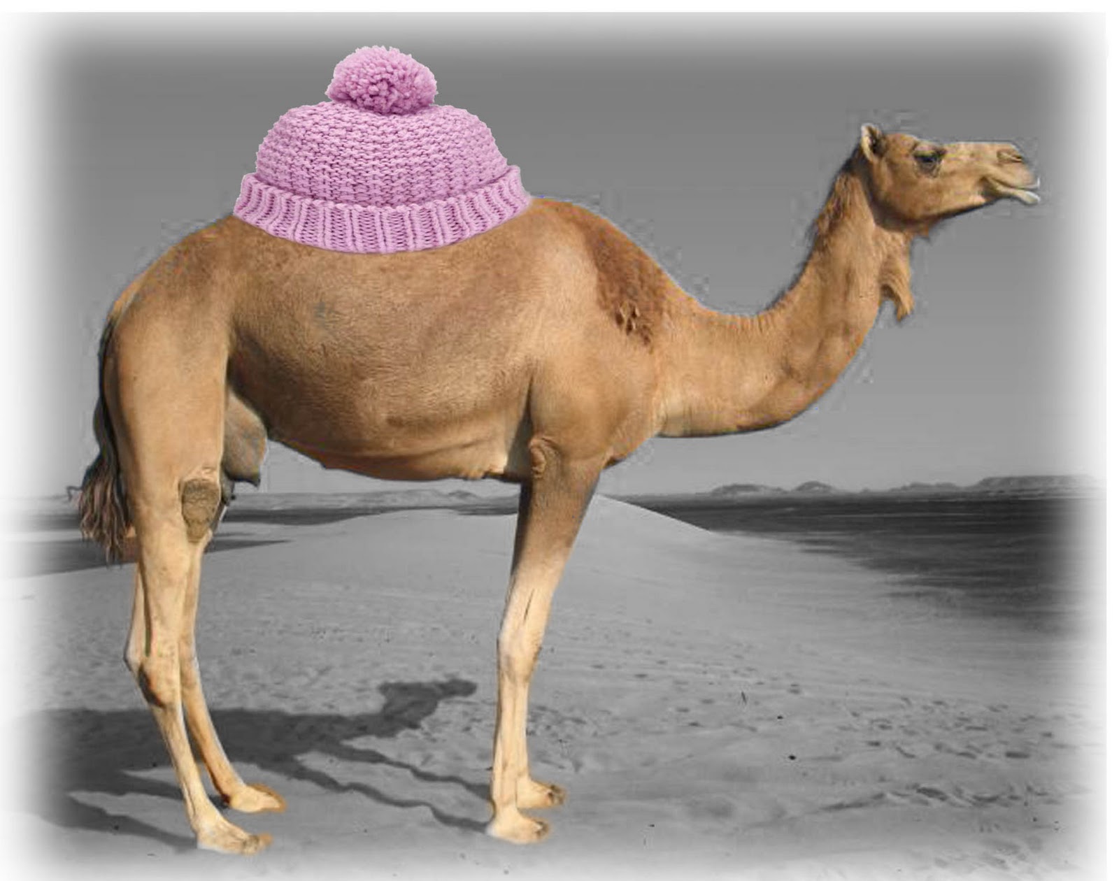 sunny loves matt pics