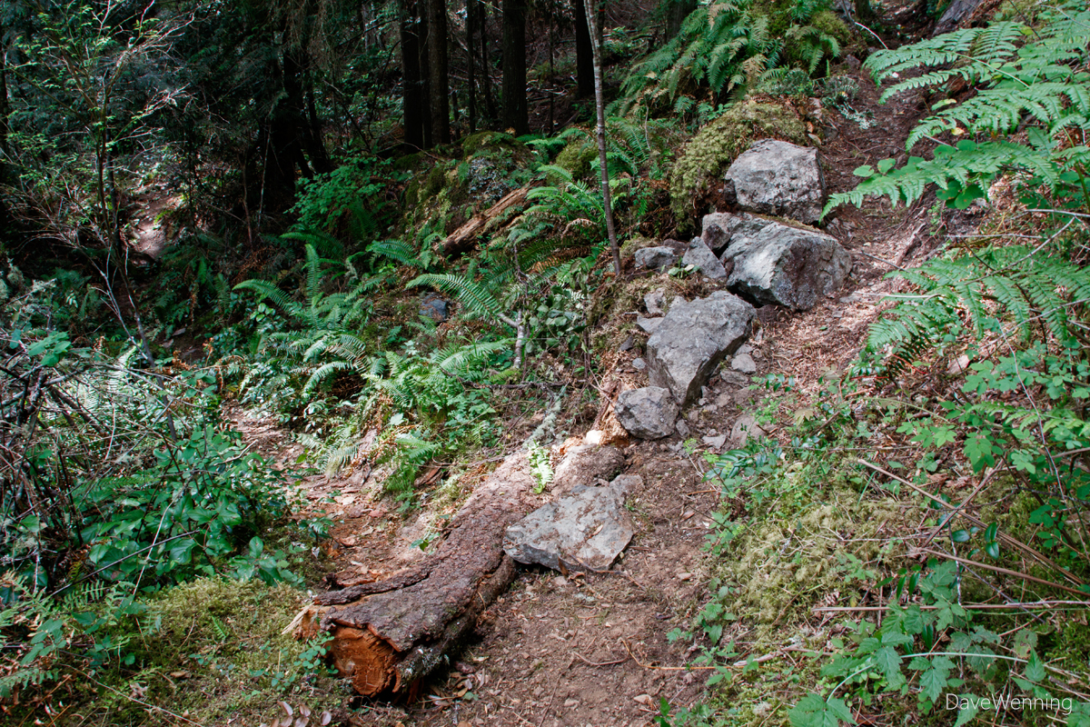 The John Tursi Trail