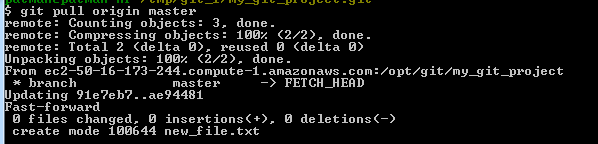 WhiteBoard Coder: Create git server on AWS cloud