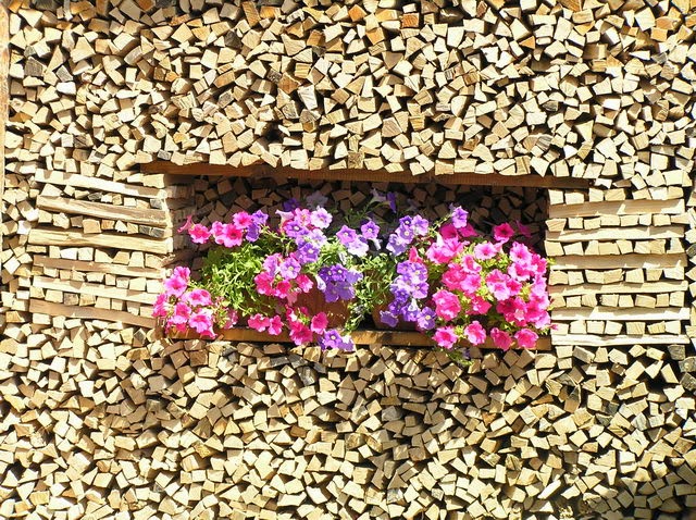 Strobino Silvano - Como - Italy - 'Nti Busch: Muri artistici di legna ...