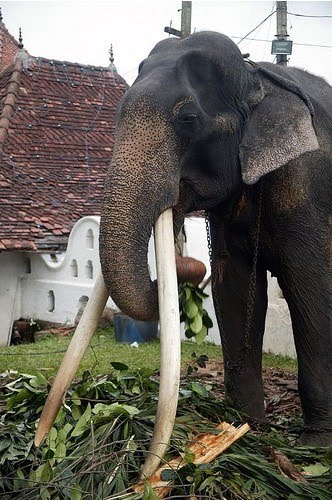 The Circus "NO SPIN ZONE": 02/20/11